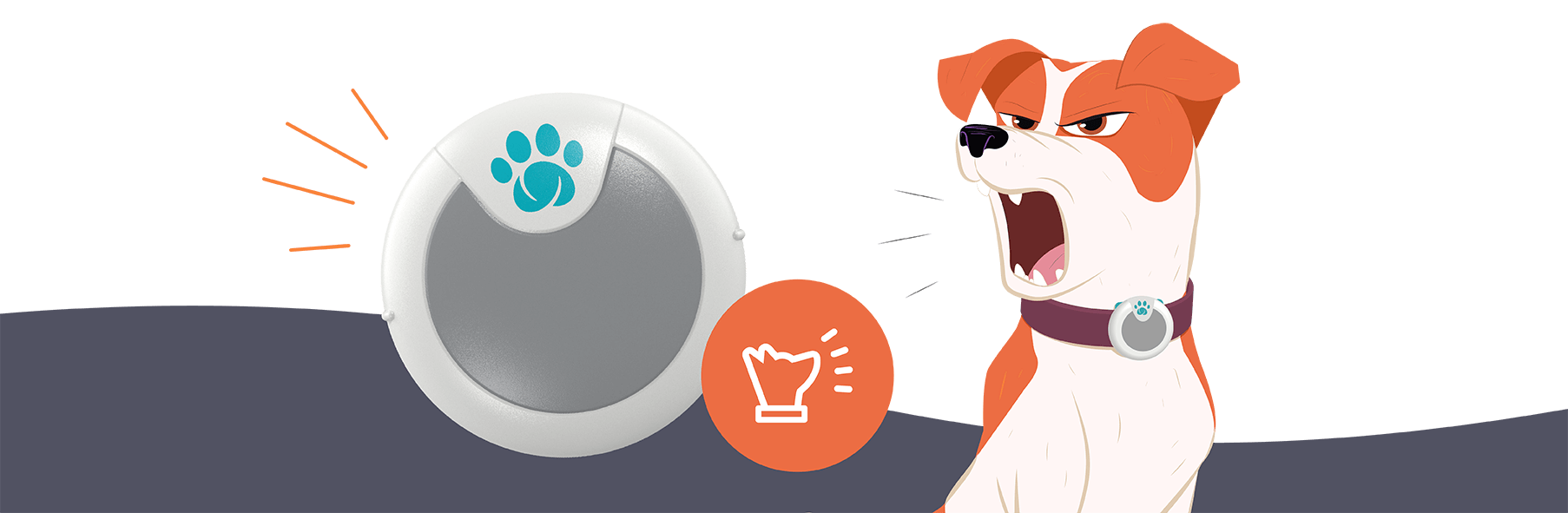 How to tell if your cat is feeling unwell