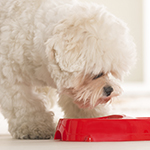 Übergewicht erfolgreich vermeiden