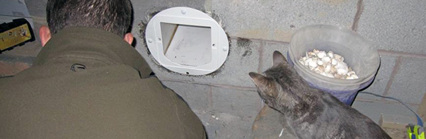 5 steps to a successful cat flap installation