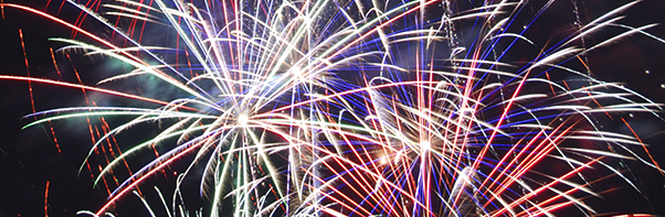 Protecting your cat during firework season